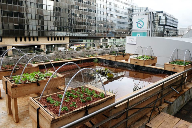 Du vert, des poules… et des écrevisses sur les toits de la RATP ...